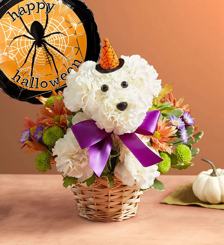 Halloween Plants & Spooky Succulents | Scary Plants for Halloween Décor ...