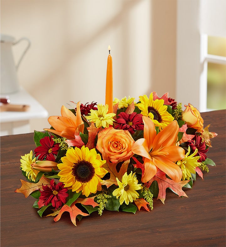 Send Fields of Europe for Fall Centerpiece | James Cress Florist