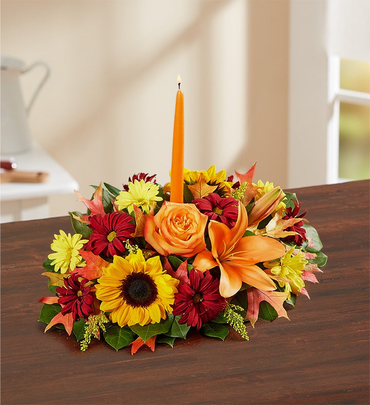 Send Fields of Europe for Fall Centerpiece | James Cress Florist