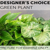 Manassas Florist. Manassas VA Flower Delivery. James Cress Florist